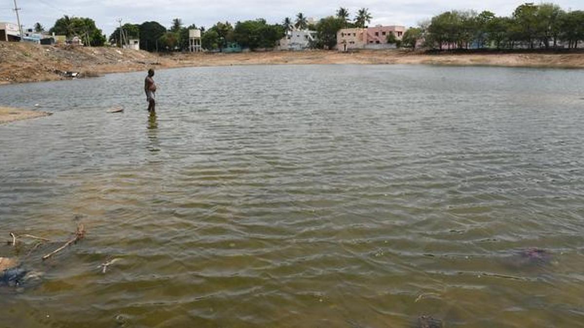 Residents’ ownership of tank brings it back to life - The Hindu