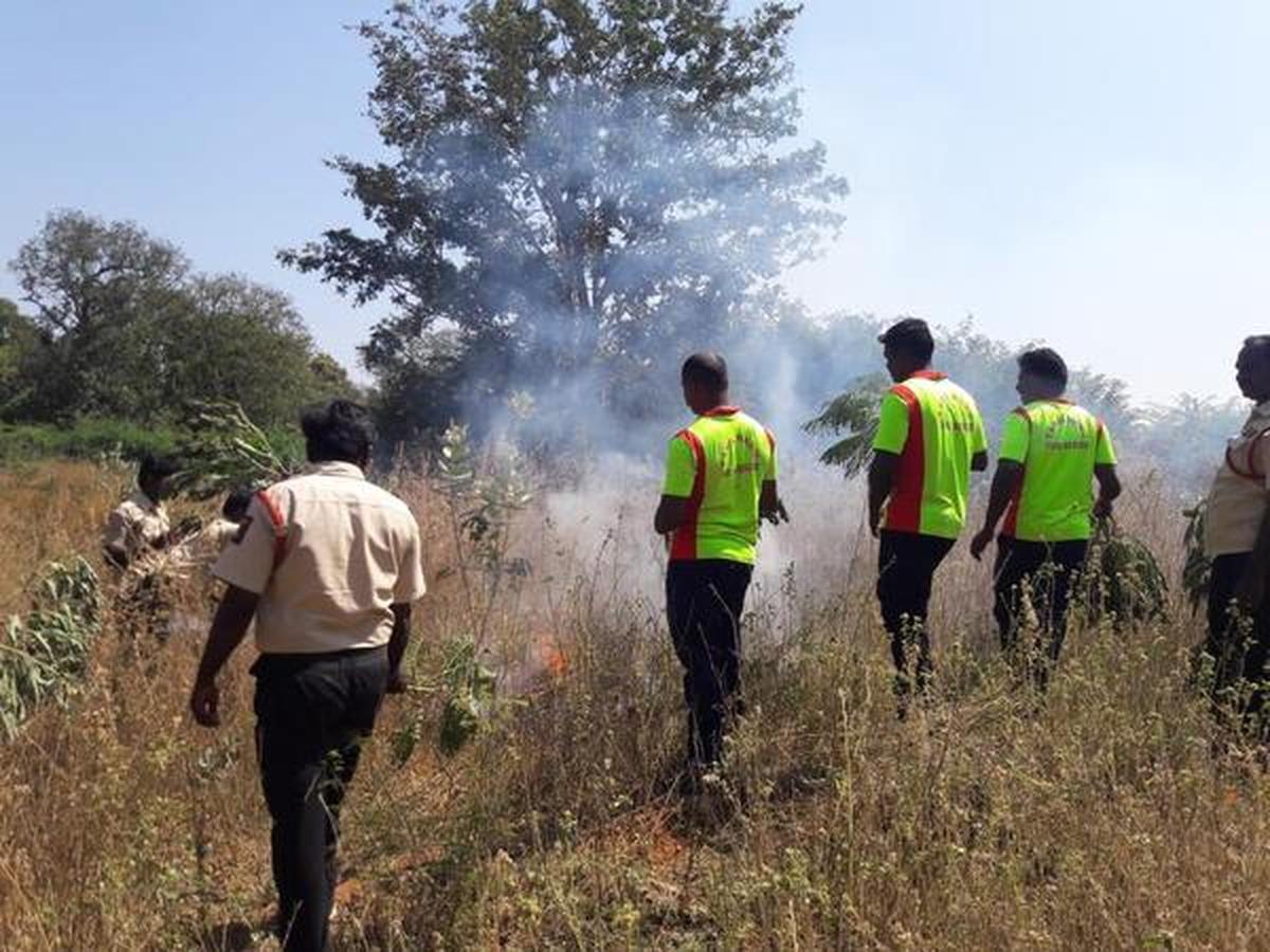 100-member team to be trained in fighting forest fire - The Hindu