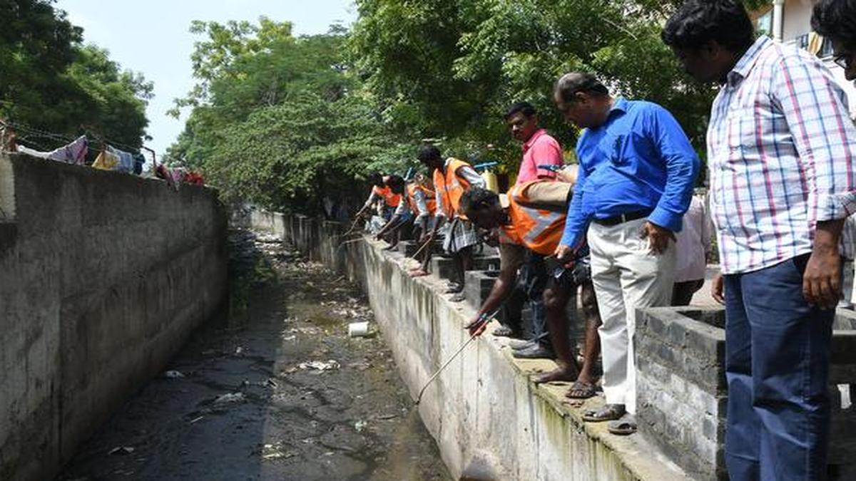 Corporation uses mosquito larvicidal oil - The Hindu