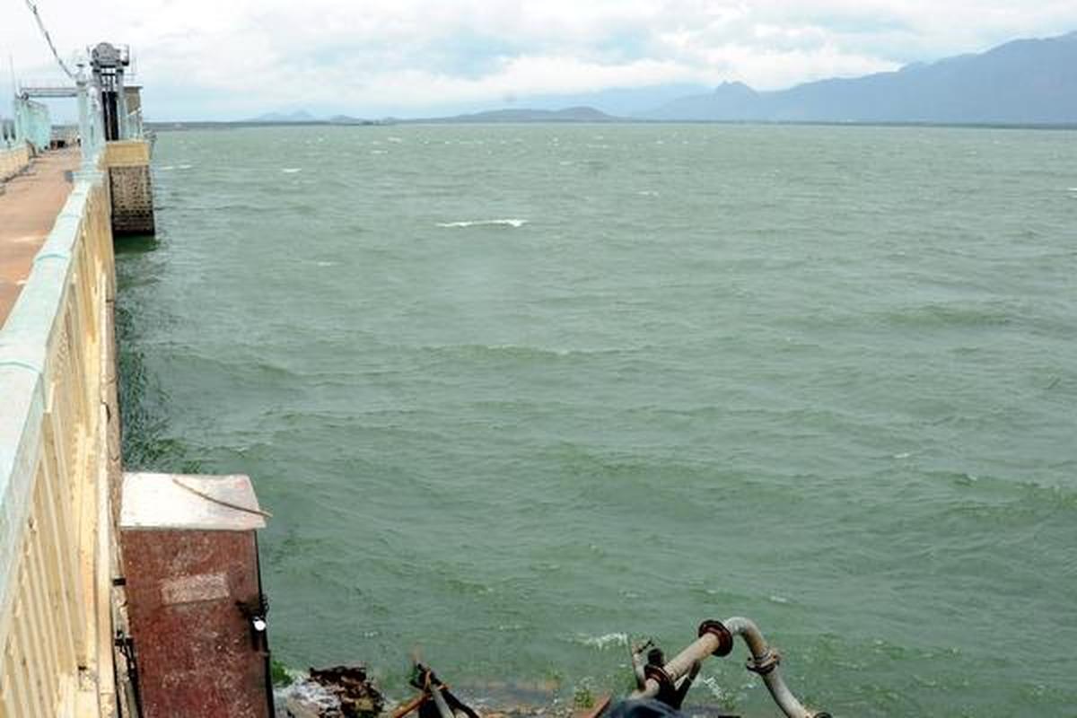 Vaigai dam crosses 60 feet - The Hindu