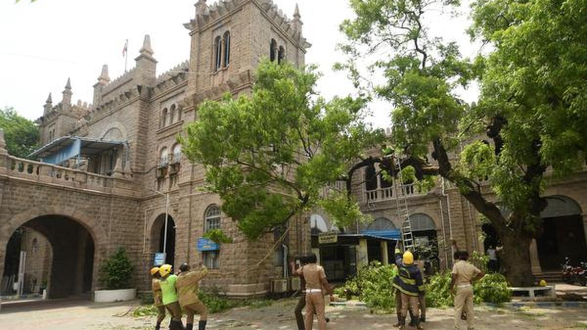 Trees, power lines uprooted due to rain in Madurai - The Hindu