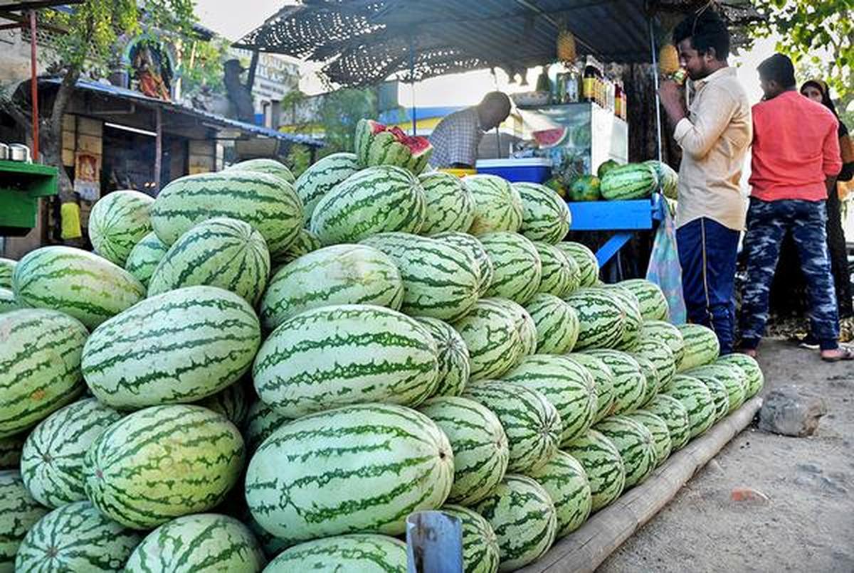 Watermelons and tender coconuts flood market - The Hindu