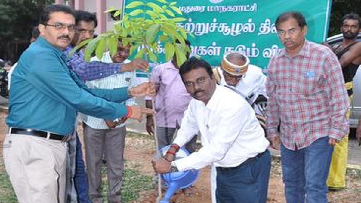 World Environment Day observed - The Hindu