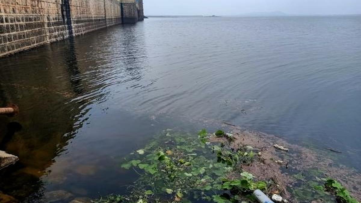 After 12 years, Vaigai dam touches maximum storage level - The Hindu