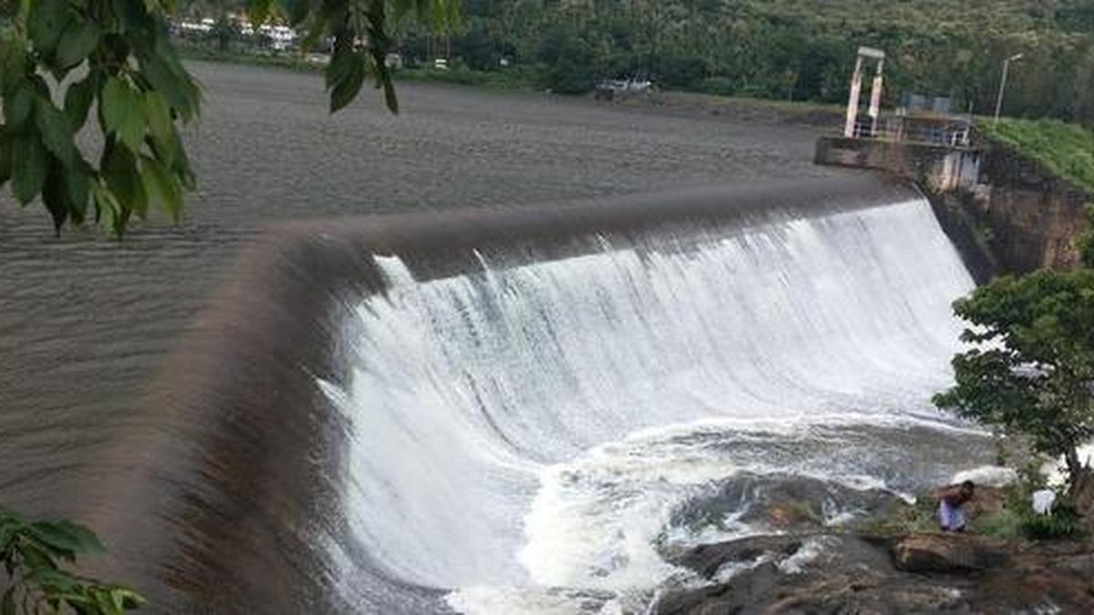 Rain raises water level in dams - The Hindu