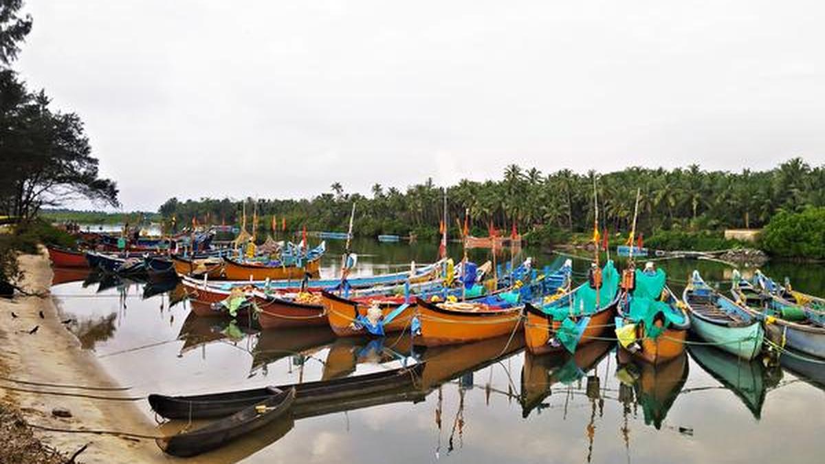 Surge in Kargil fish along Karnataka coast attributed to climate change ...
