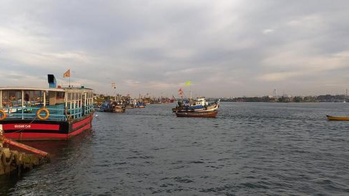 Traditional fishermen oppose Sagar Mala project, plan protest - The Hindu