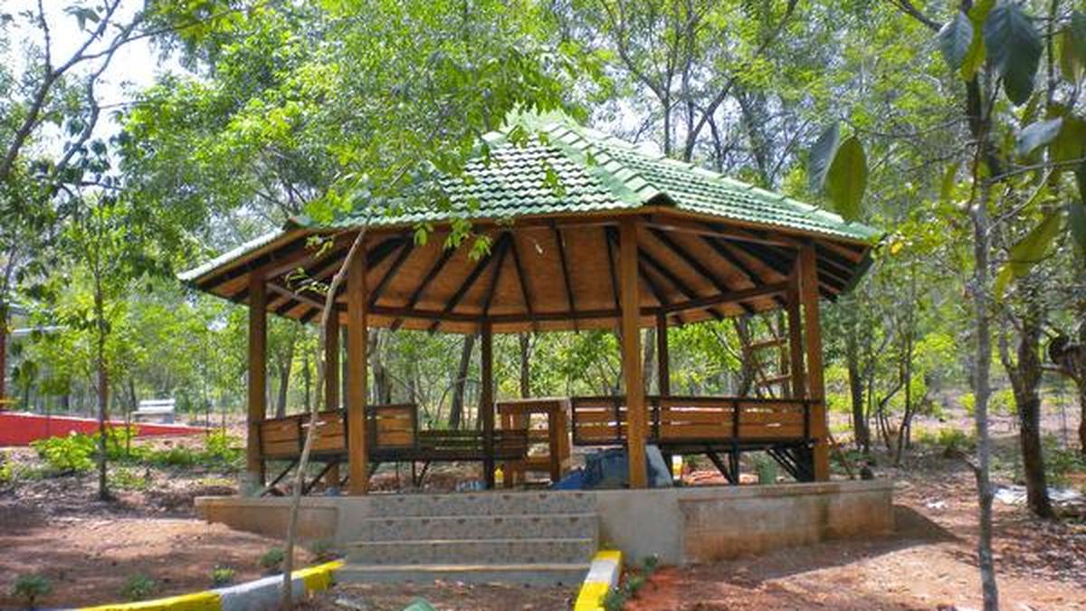 Construction of tree park reaches final stages - The Hindu