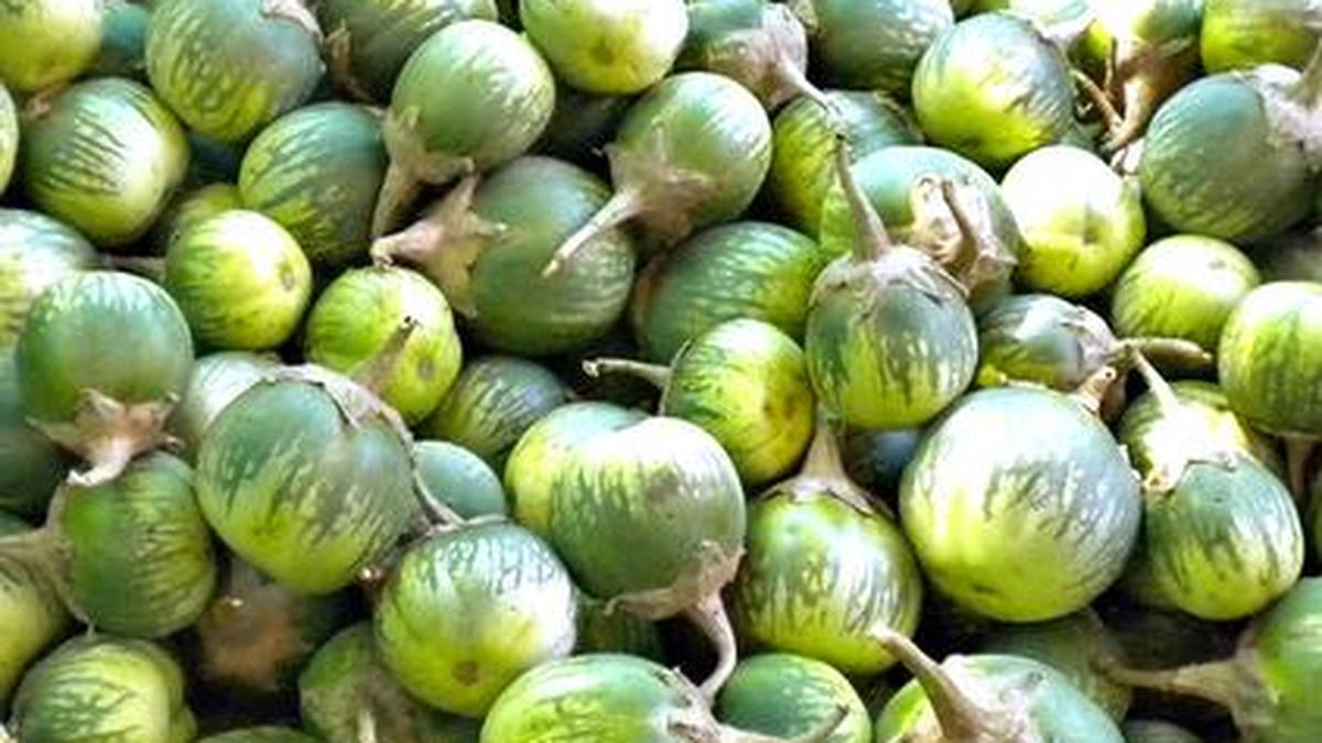 A seasonal vegetable much sought after - The Hindu