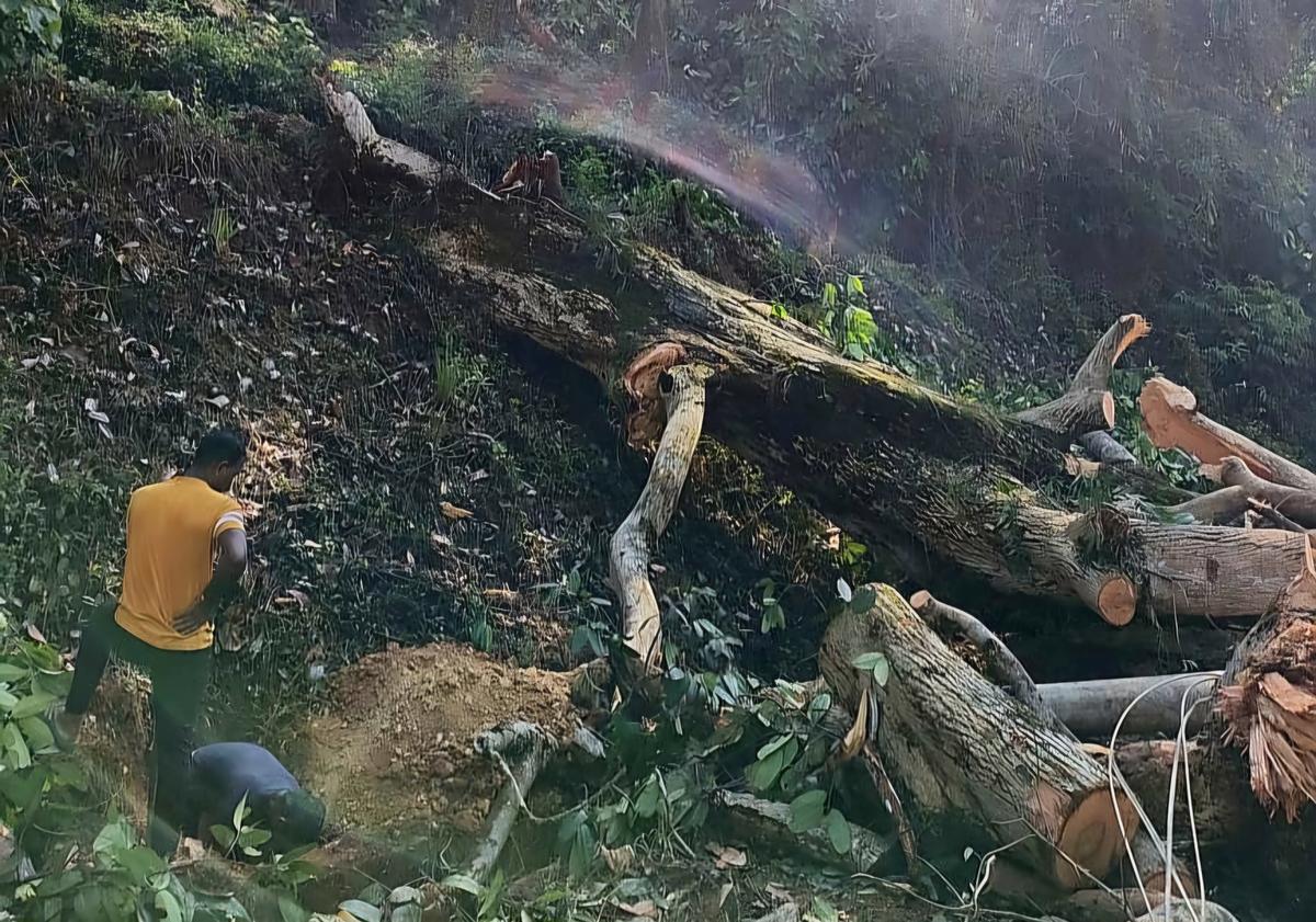 Power outage continues to haunt Sullia taluk with new 110kV HT line yet ...