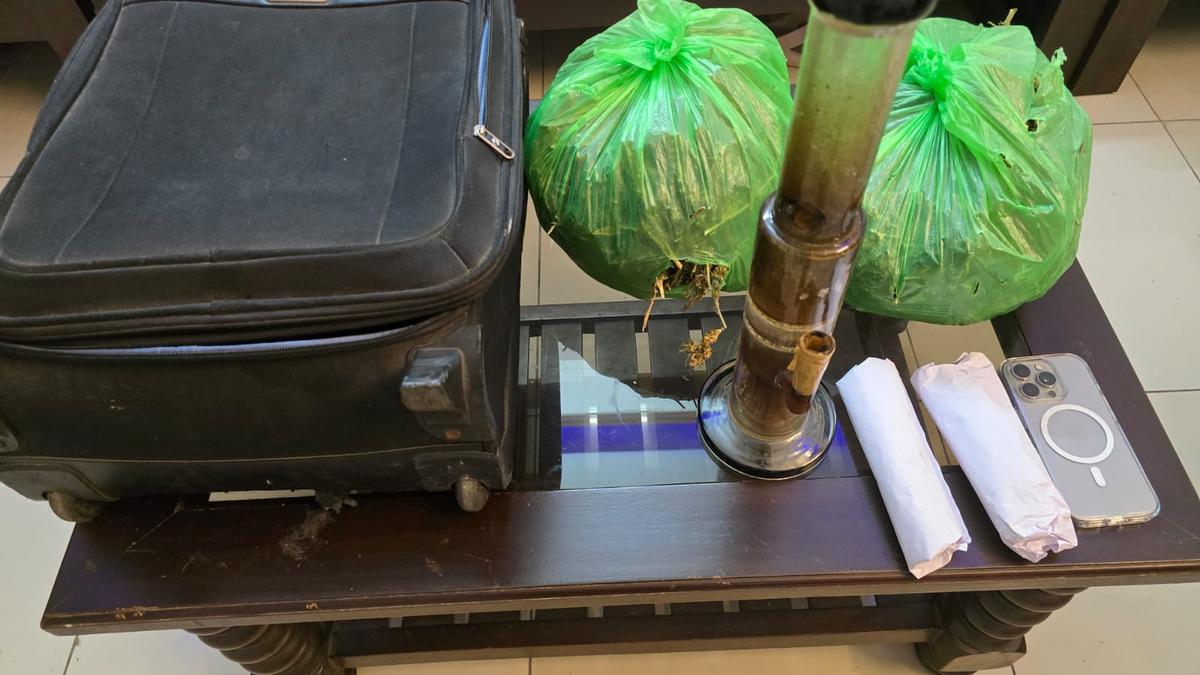 Two students arrested for peddling drugs in Manipal - The Hindu