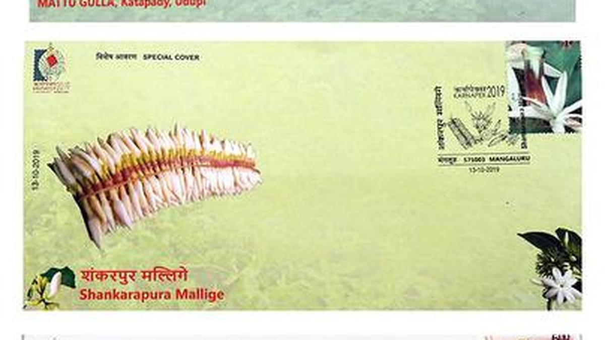 Shankarapura Mallige, Mattu Gulla steal the show at exhibition - The Hindu