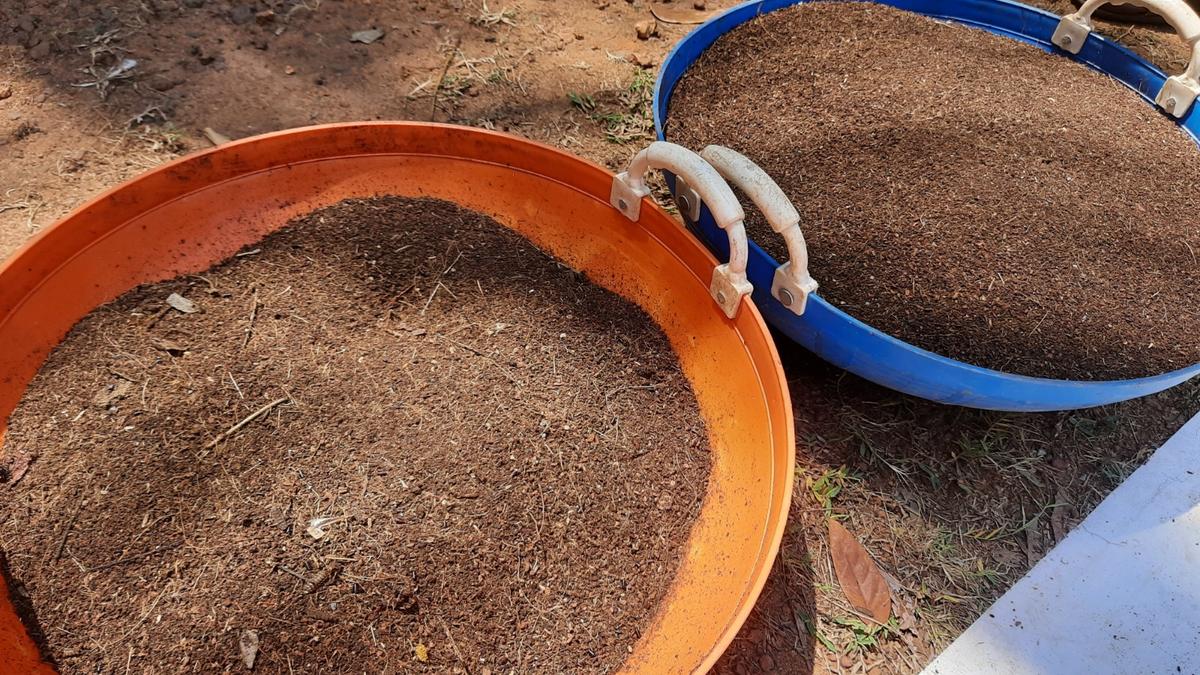 Durgaparameshwari Temple near Mangaluru to release Shakambari Divine ...