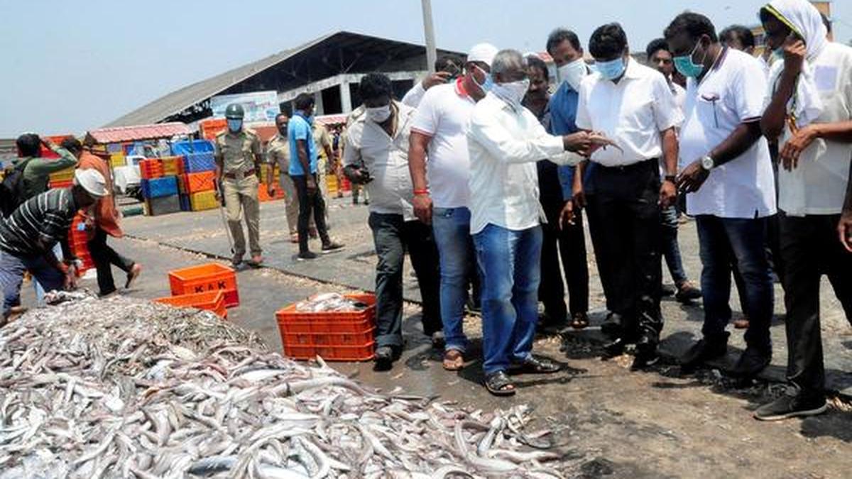 Business as usual at Malpe harbour - The Hindu