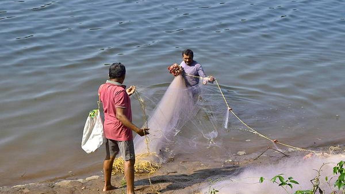 Traditional fishing begins on the Mangaluru coast - The Hindu