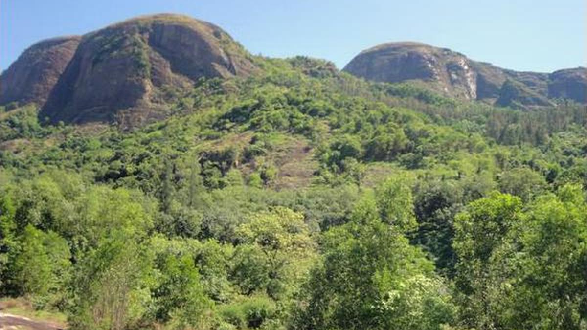 Vellarada set to take on quarries - The Hindu