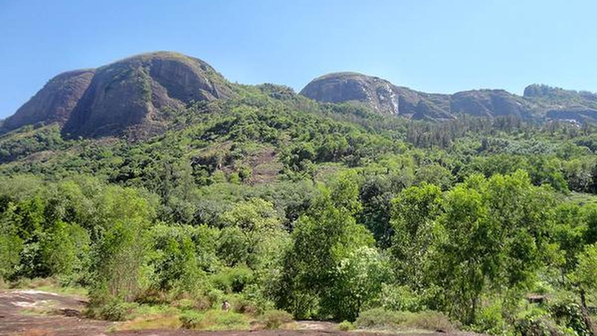 Quarrying threat at Vellarada - The Hindu