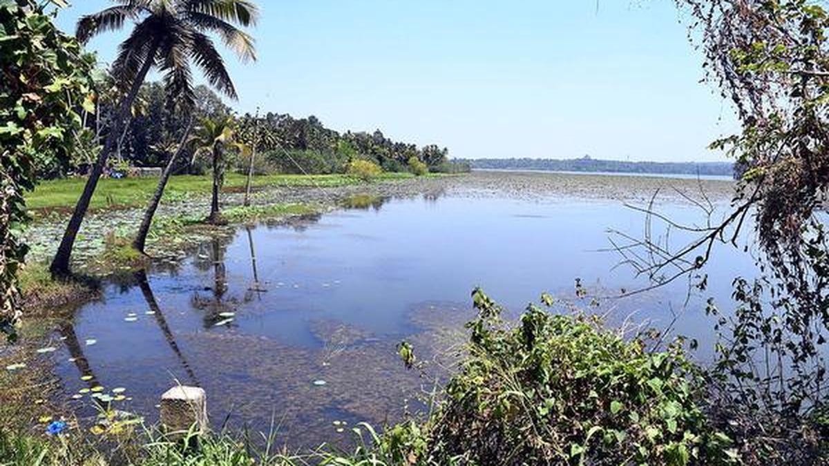 Vellayani Lake to be deepened - The Hindu