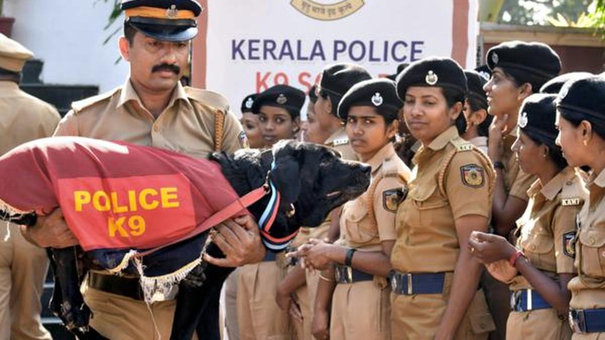 20 puppies inducted into Kerala Police K9 dog squad - The Hindu