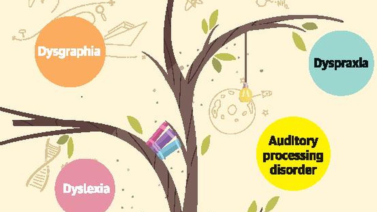 Tools for learning disability identification - The Hindu