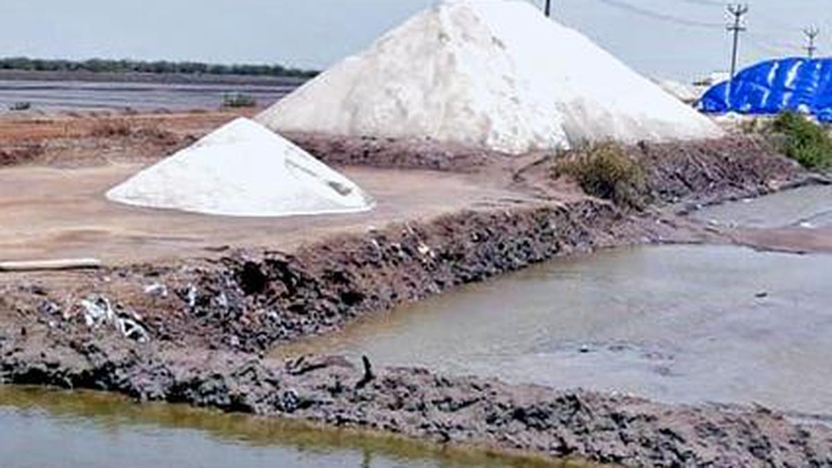 Vedaranyam salt workers urge DMK MPs to highlight plight in Parliament ...