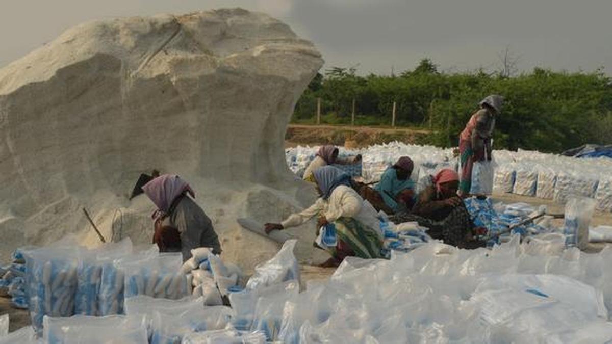 Salt production begins on an insipid note - The Hindu