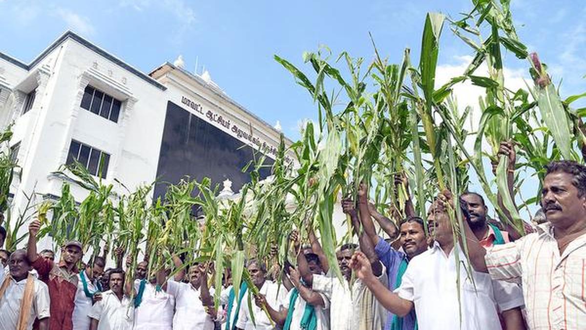 Pullambadi farmers’ plea - The Hindu