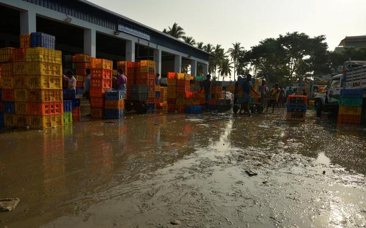 Unhygienic conditions raise a stink at new fish market - The Hindu