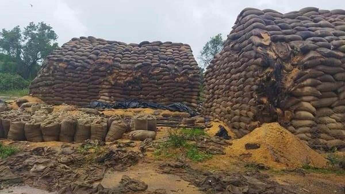 Thousands of paddy bags damaged in recent rain - The Hindu