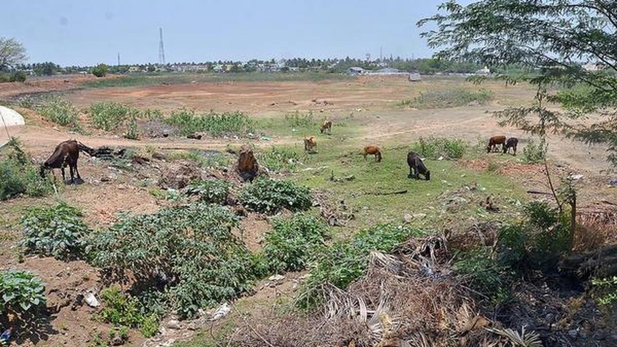 Joining hands to save Sengulam tank - The Hindu