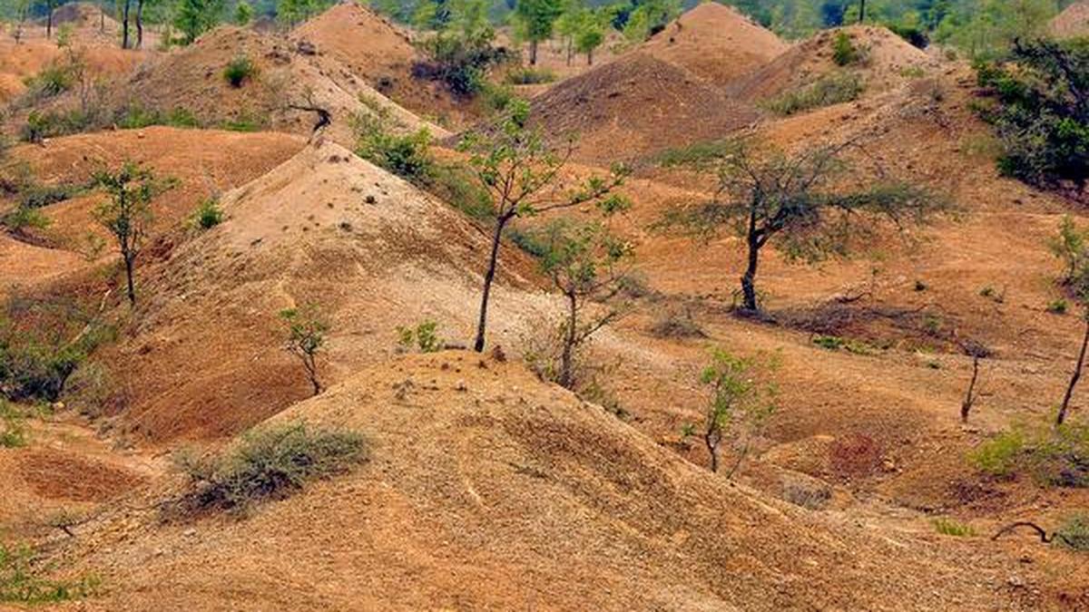 ‘Protect fossil deposits’’ - The Hindu
