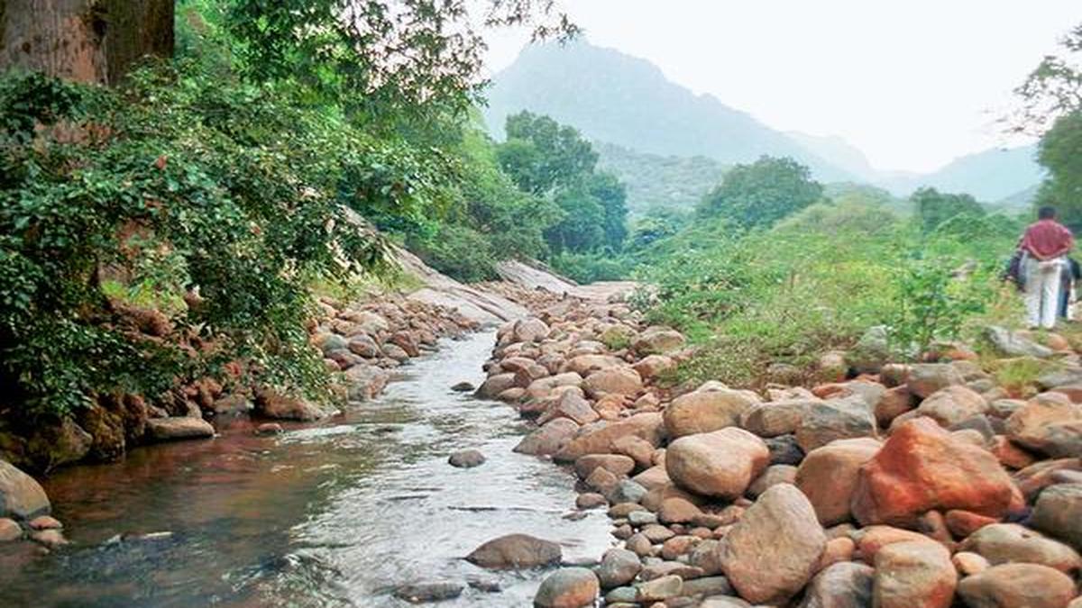 World Bank funding sought to relay road to Puliancholai - The Hindu