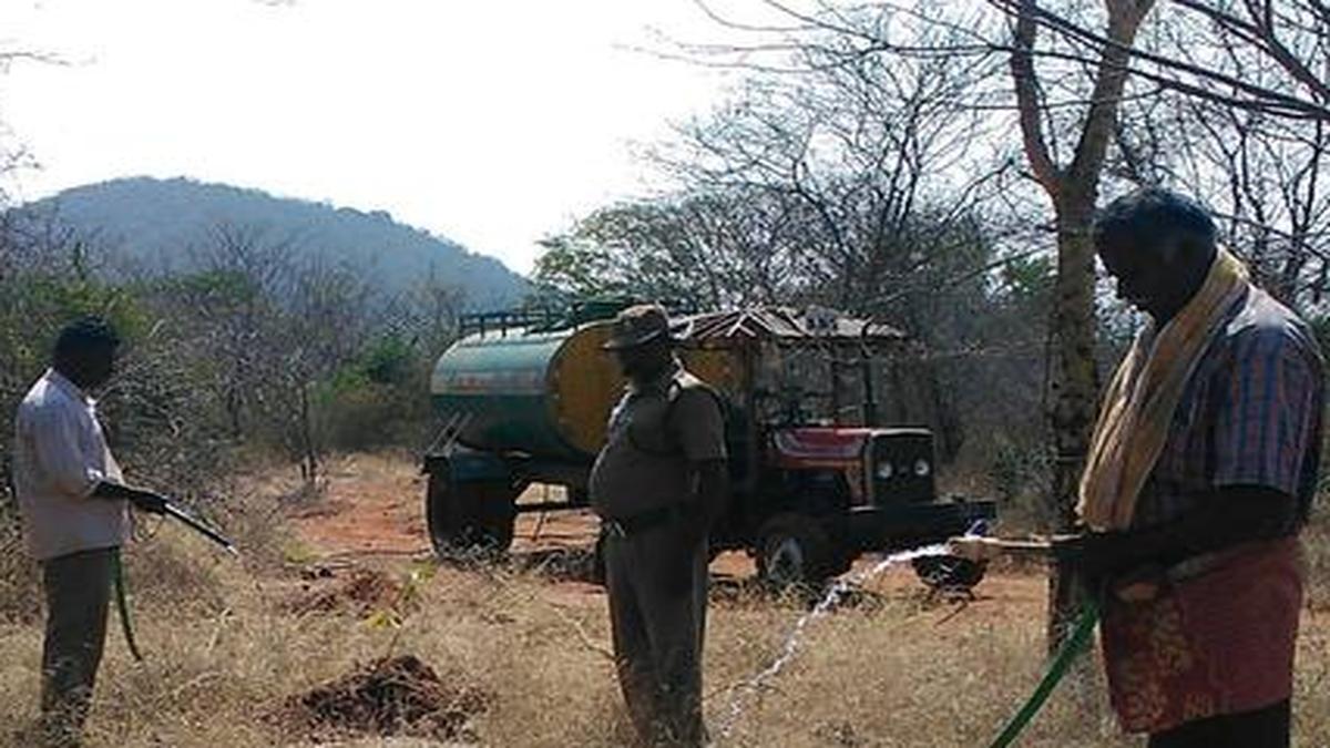 With routine meetings suspended, forest officials focus on patrolling ...