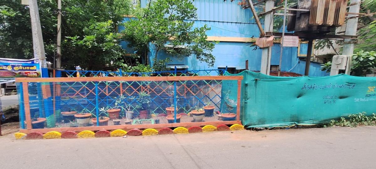 41 garbage hotspots turn beautified green spaces in Tiruchi - The Hindu
