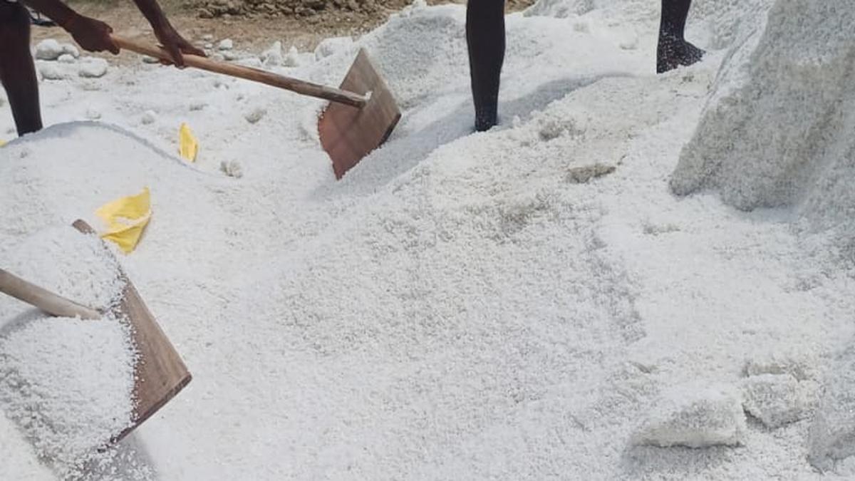 Salt movement yet to pick up from Agasthiyampalli station - The Hindu