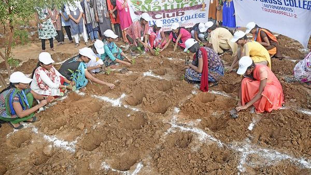 Miyawaki method of afforestation - The Hindu