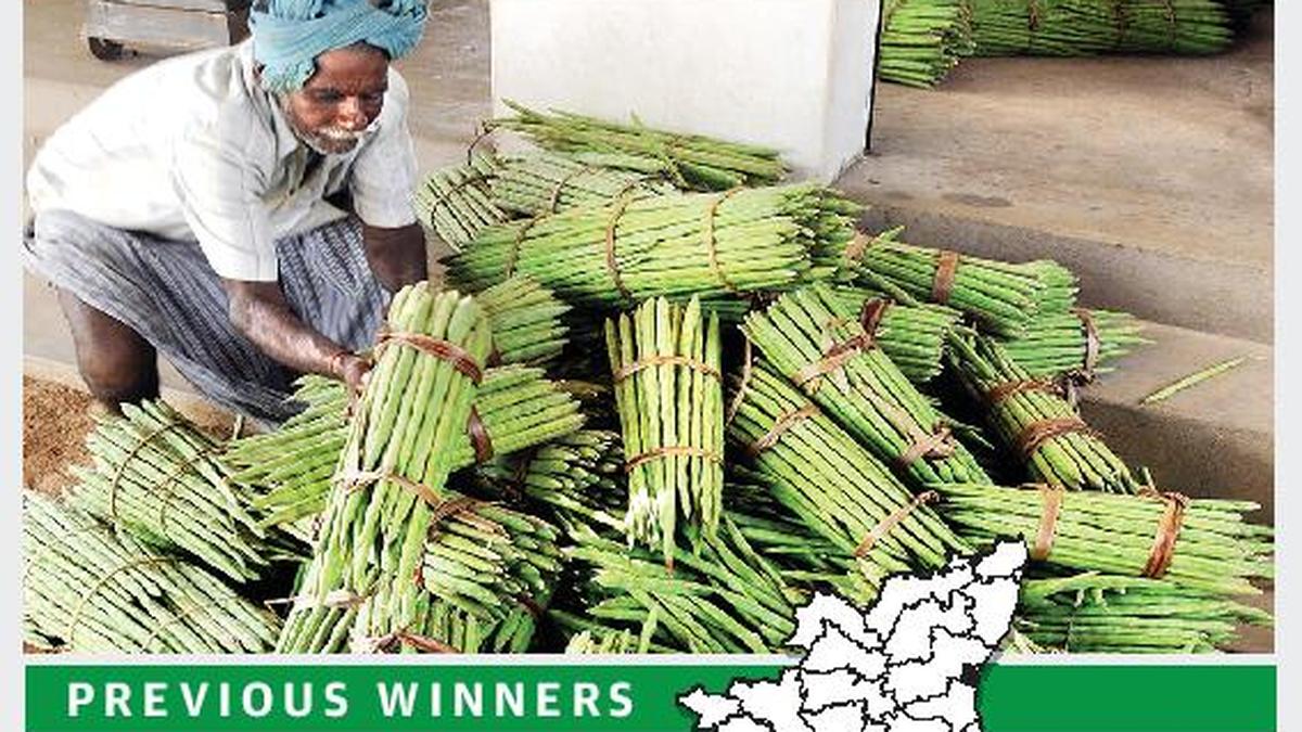 Aravakurichi constituency gears up for mega duel - The Hindu