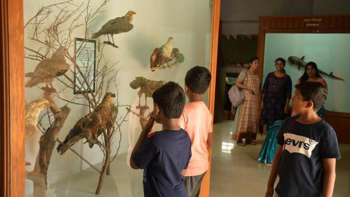 110-year-old museum lies neglected without requisite manpower - The Hindu 110-year-old museum lies neglected without requisite manpower - The Hindu