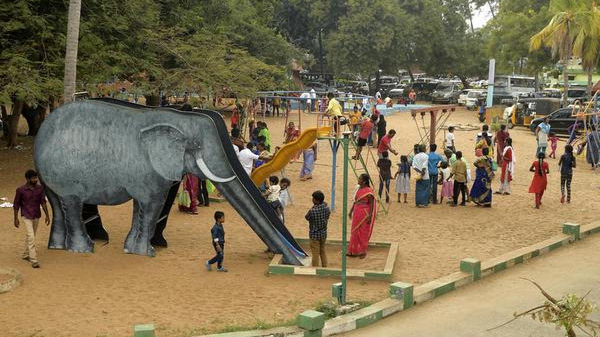 Mukkombu reopens to visitors - The Hindu