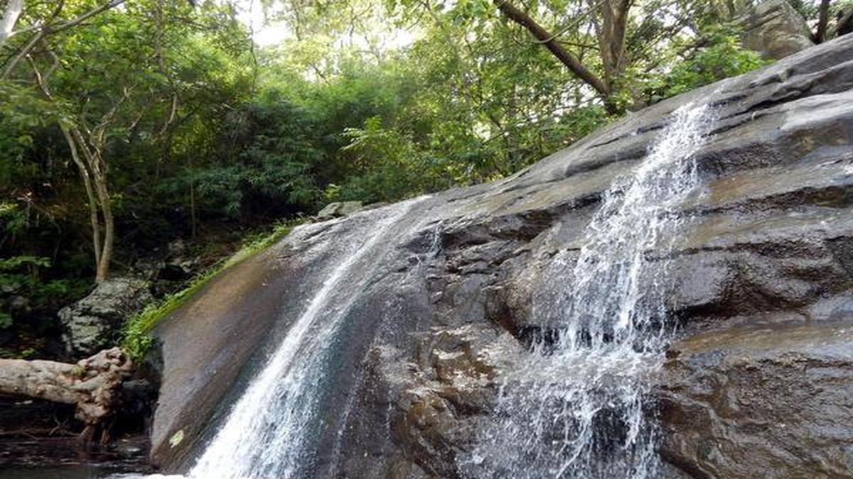 11 waterfalls in Kondapalli forest area get names - The Hindu