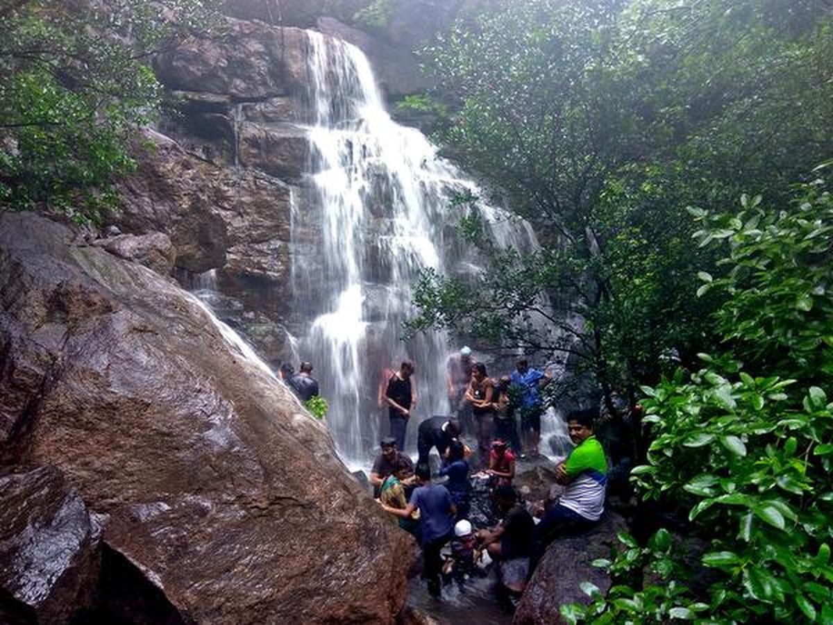 Waterfalls in Kondapalli area come alive - The Hindu
