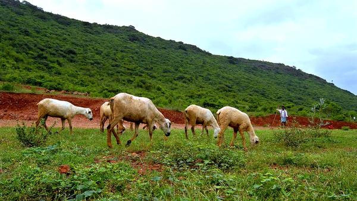 IT city to come up at Kapuluppada - The Hindu