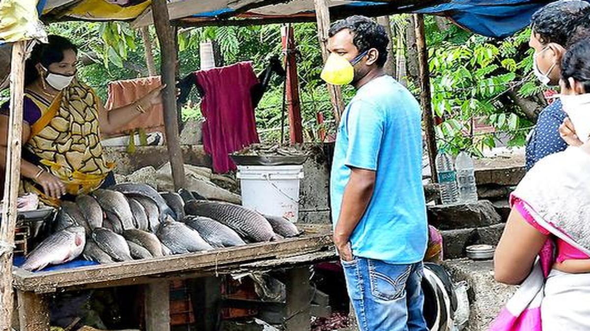 Lockdown: fish prices soar in city - The Hindu