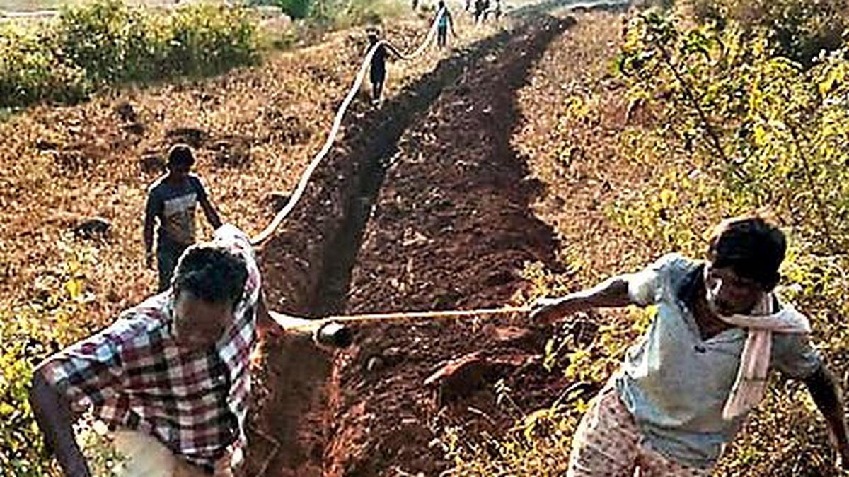 NGO helps tribal farmers get irrigation water - The Hindu