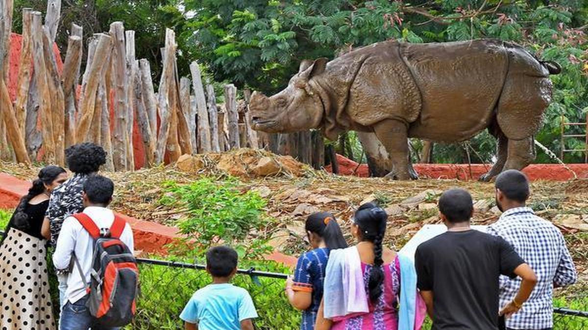 Zoo gears up for picnic season with a host of new attractions - The Hindu
