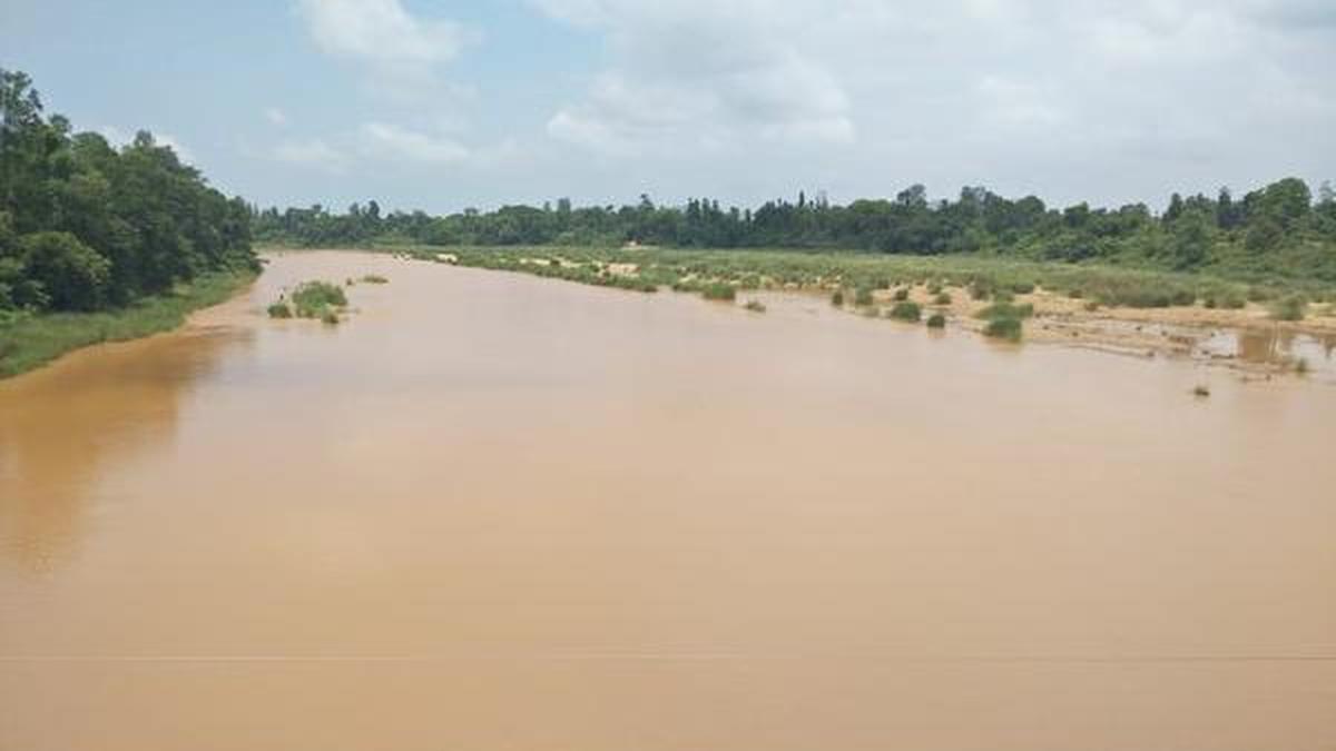 Rains bring good inflows into rivers - The Hindu