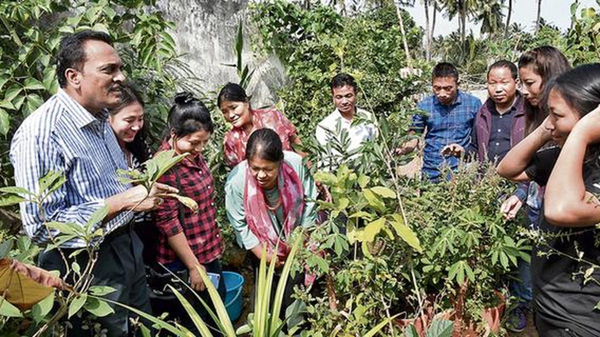 Natural farming: Manipur, Nagaland to emulate State - The Hindu