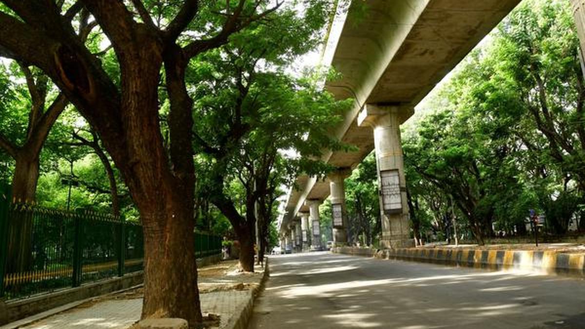 App for tree census to be launched soon - The Hindu