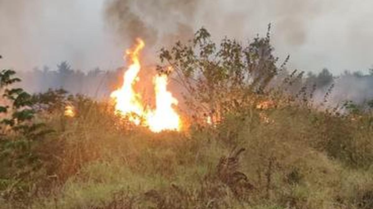 Garbage burning near Vrishabhavati river - The Hindu