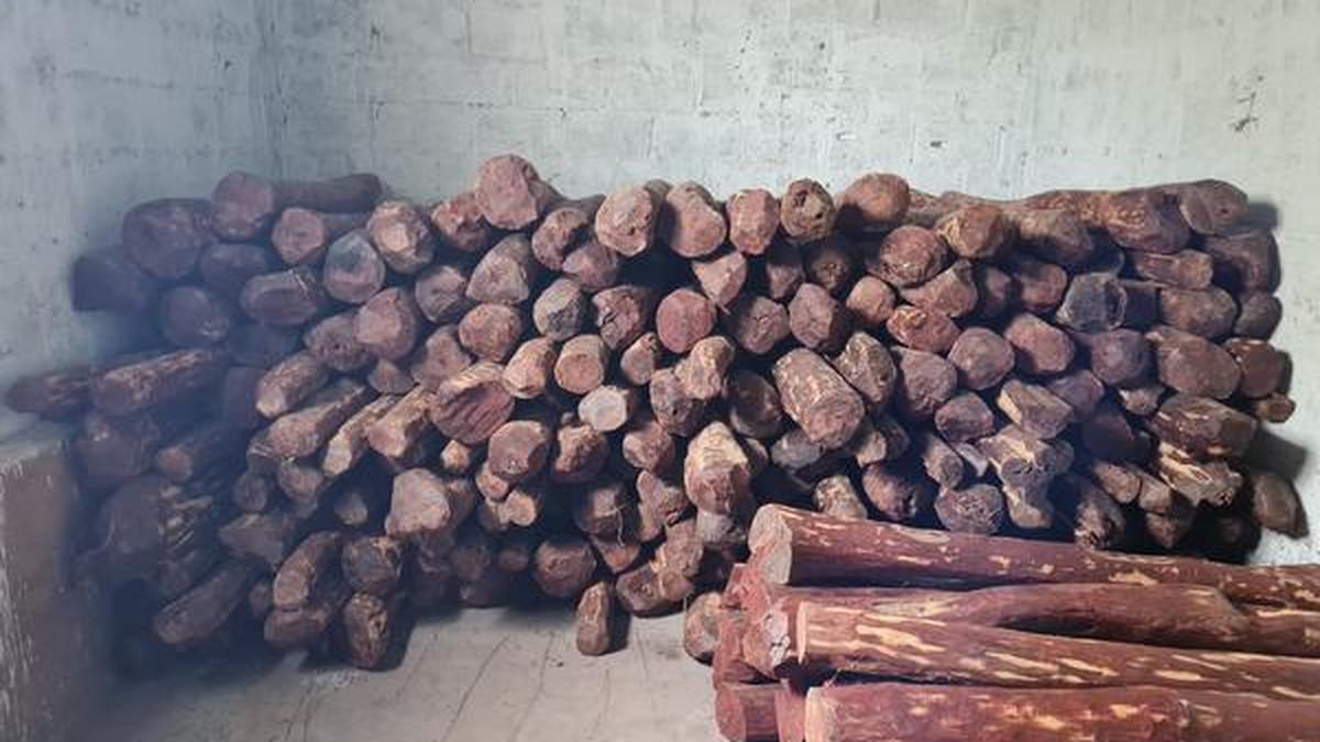 CCB bust inter-State Red Sanders racket - The Hindu